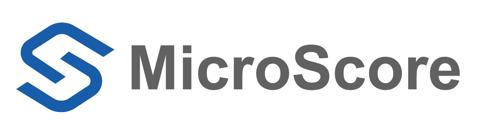MicroScore